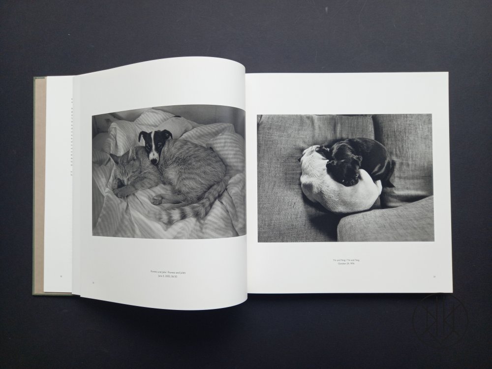 Michael Ruetz – The Family of Dog | Knihkupectví a umělecká galerie KAVKA